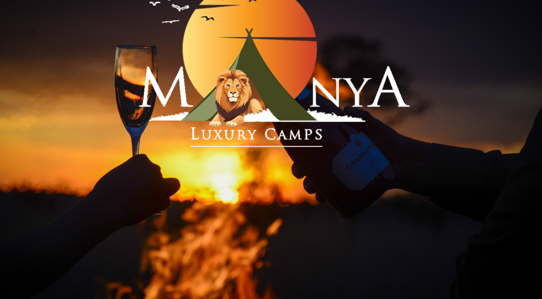 Serengeti Sunset Safari | Luxury Evening Experience in Tanzania - Manya ...